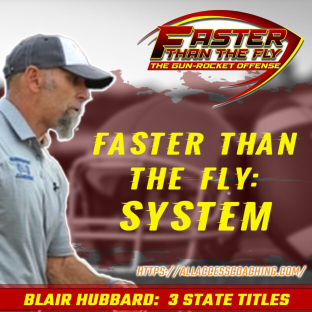 Faster Than The Fly: The System